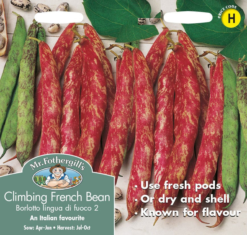 Vegetable Seeds | Buy Vegetable Seeds | Mr Fothergill's | USA