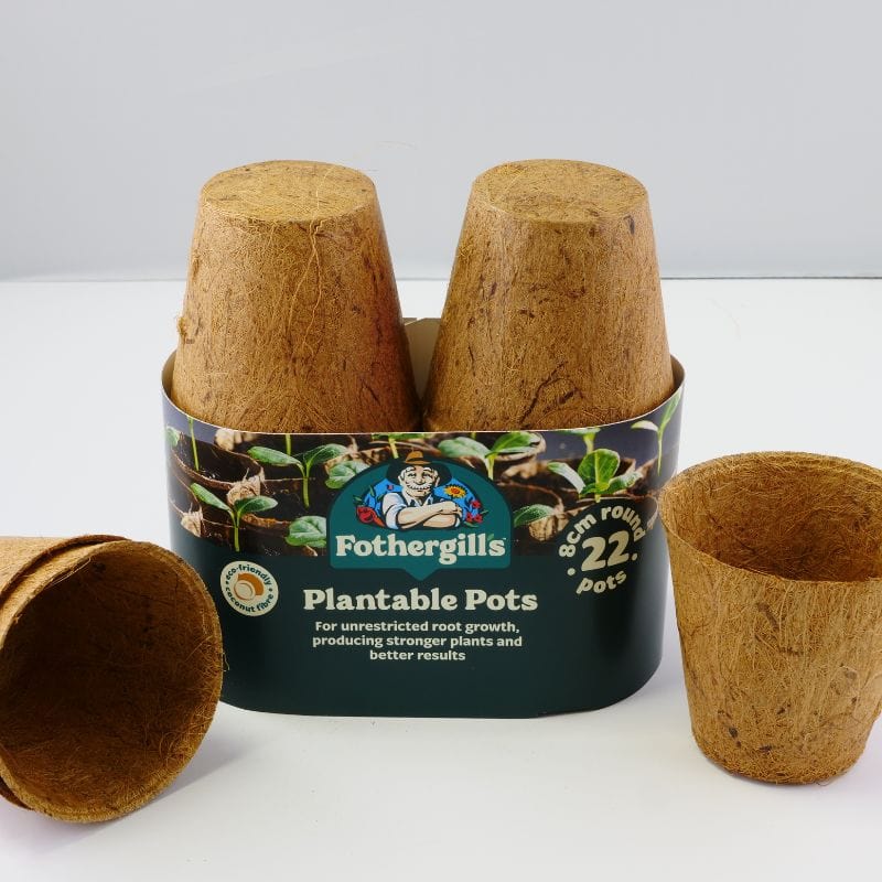 Plantable Pots 22 x 8cmÂ | Mr Fothergill's | USA